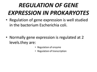 Gene regulation | PPT