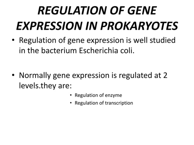 Gene regulation | PPT