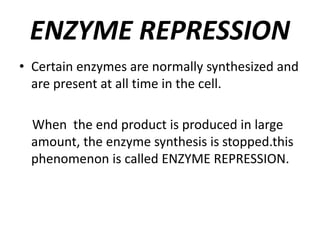 Gene regulation | PPT