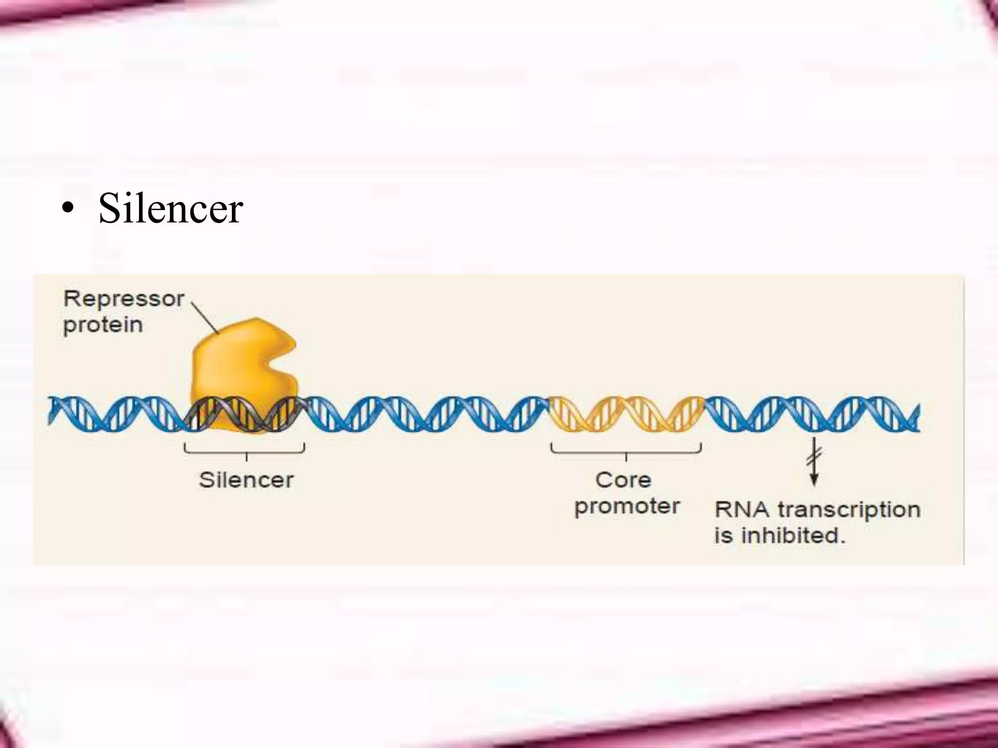Gene regulation | PPTX