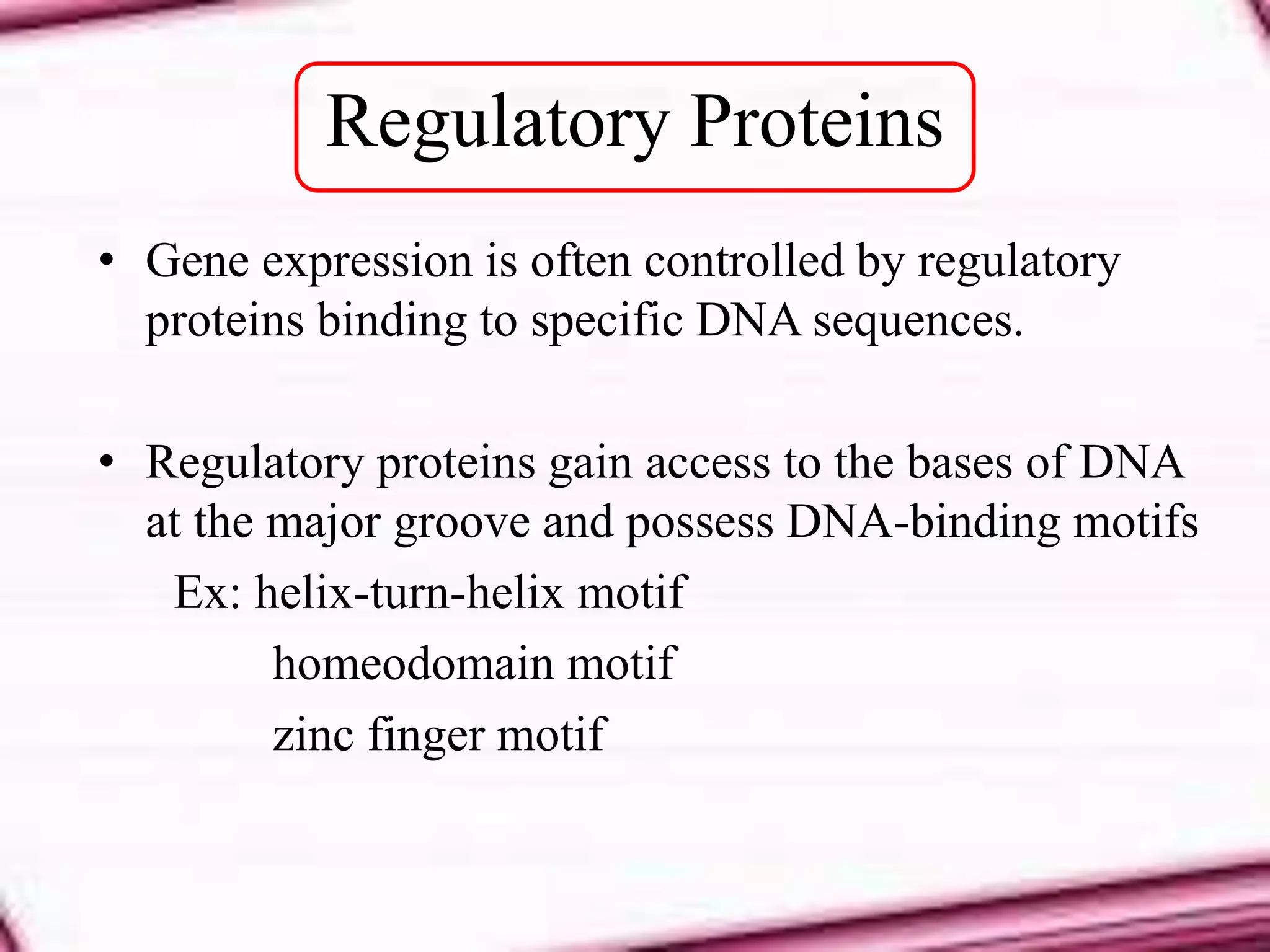 Gene regulation | PPTX