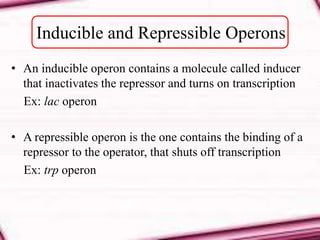 Gene regulation | PPTX