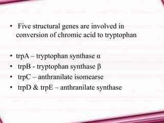 Gene regulation | PPTX