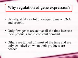 Gene regulation | PPTX