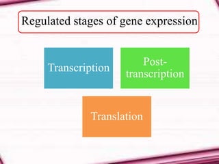 Gene regulation | PPTX