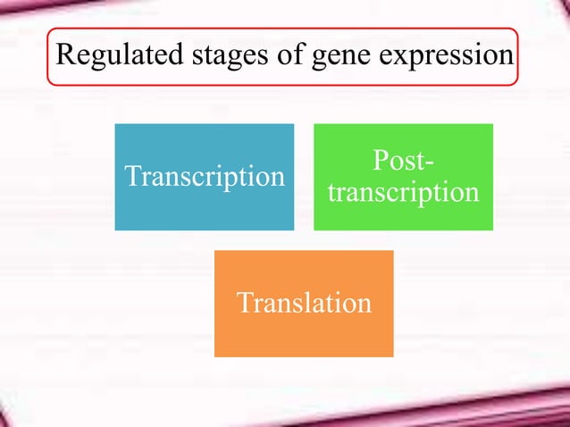 Gene regulation | PPT
