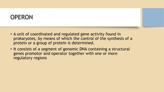 Gene regulation | PPTX