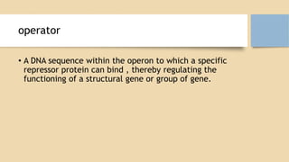 Gene regulation | PPT