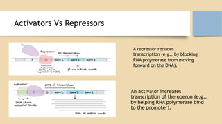 Gene regulation | PPT
