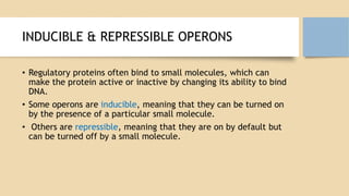 Gene regulation | PPTX