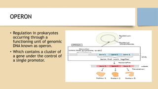 Gene regulation | PPT