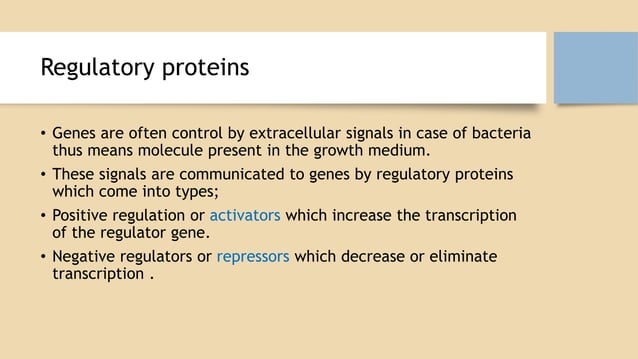 Gene regulation | PPT