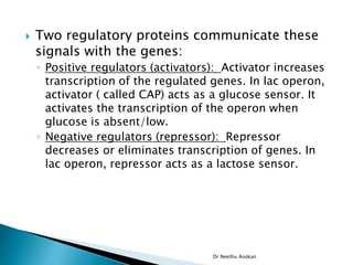 Gene regulation | PPTX