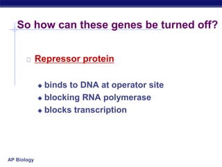 gene regulation.pptx