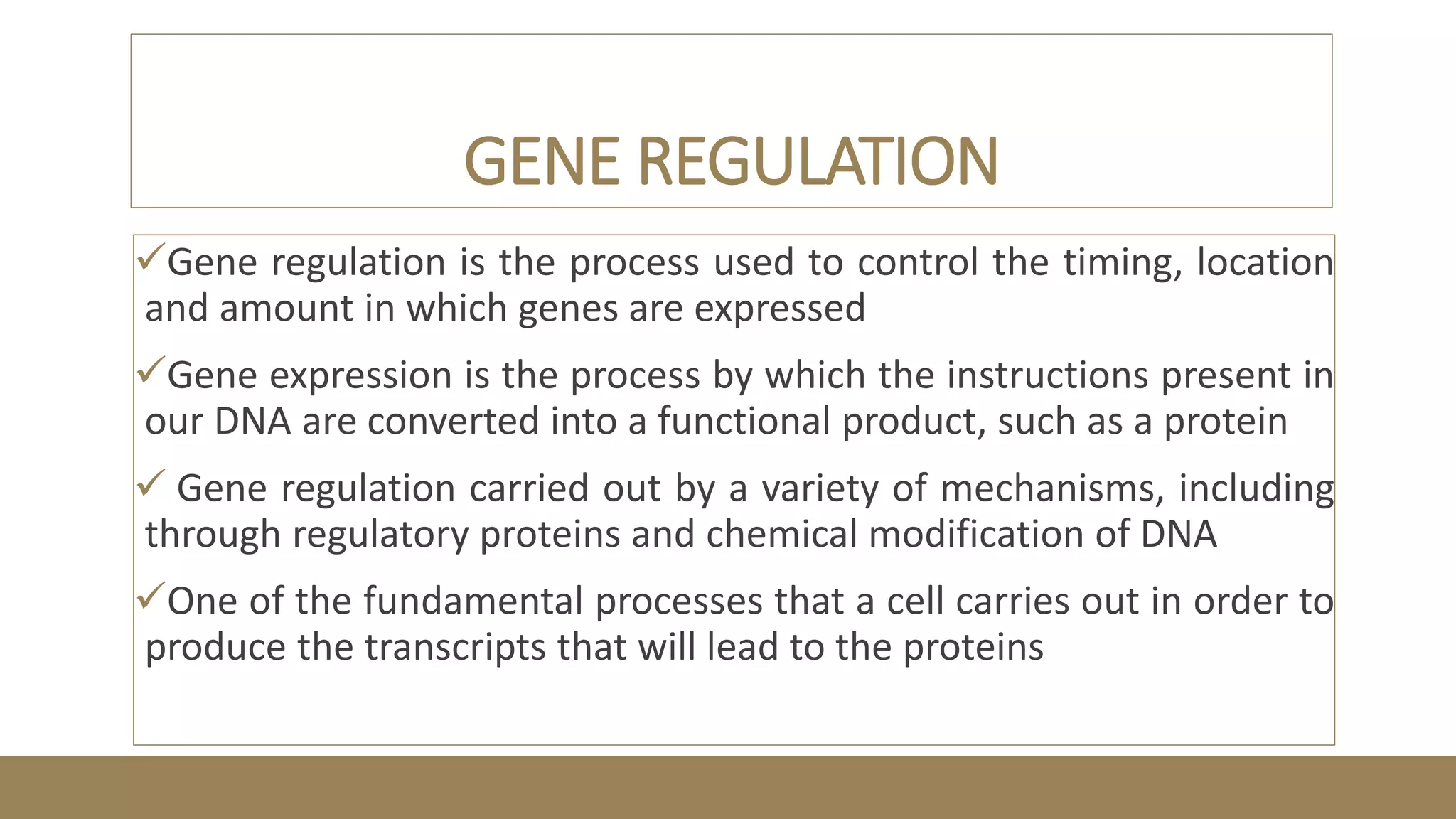 GENE REGULATION.pptx