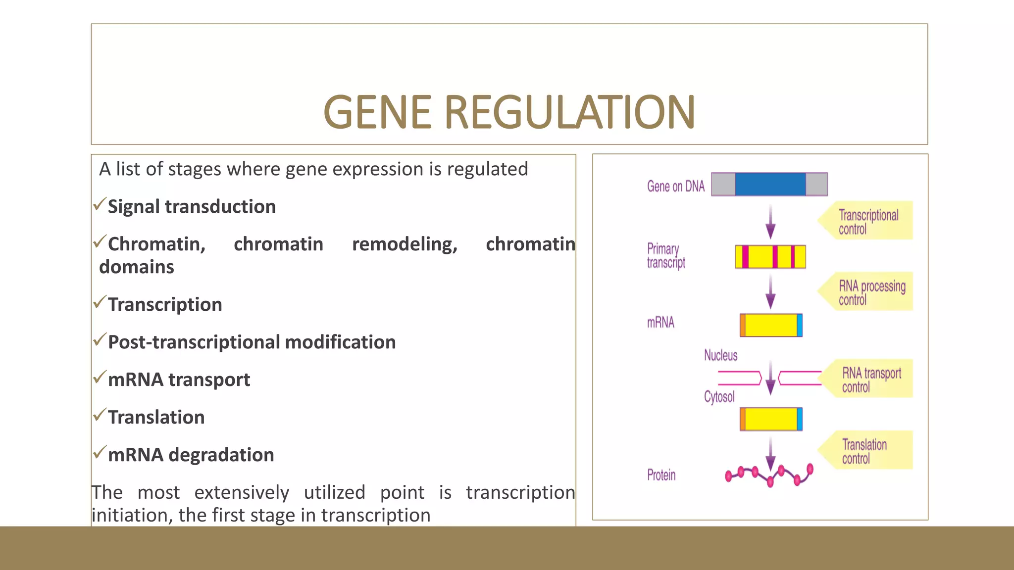 GENE REGULATION.pptx