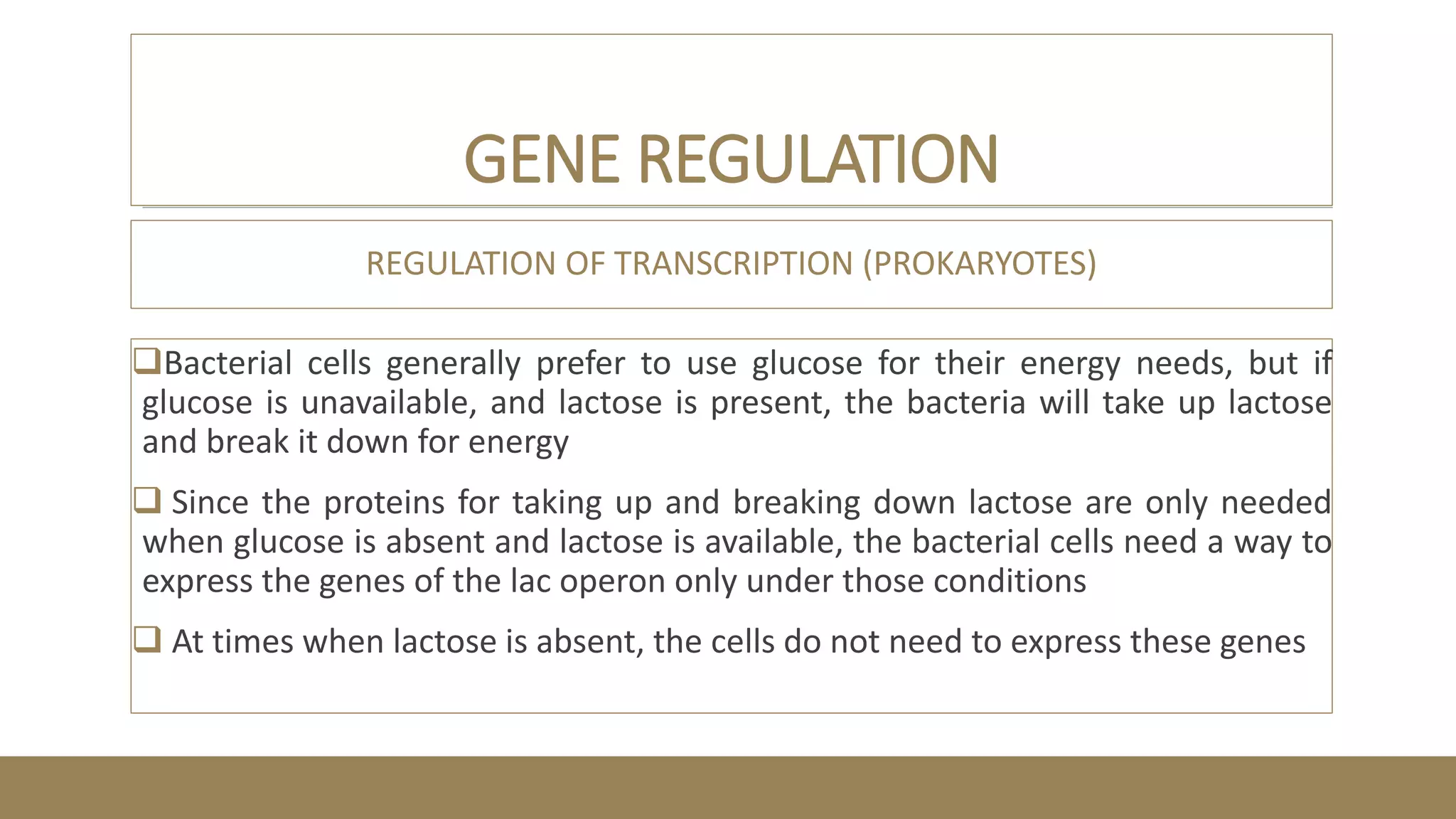 GENE REGULATION.pptx