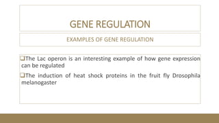 GENE REGULATION.pptx