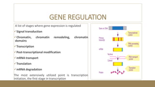 GENE REGULATION.pptx