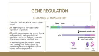 GENE REGULATION.pptx