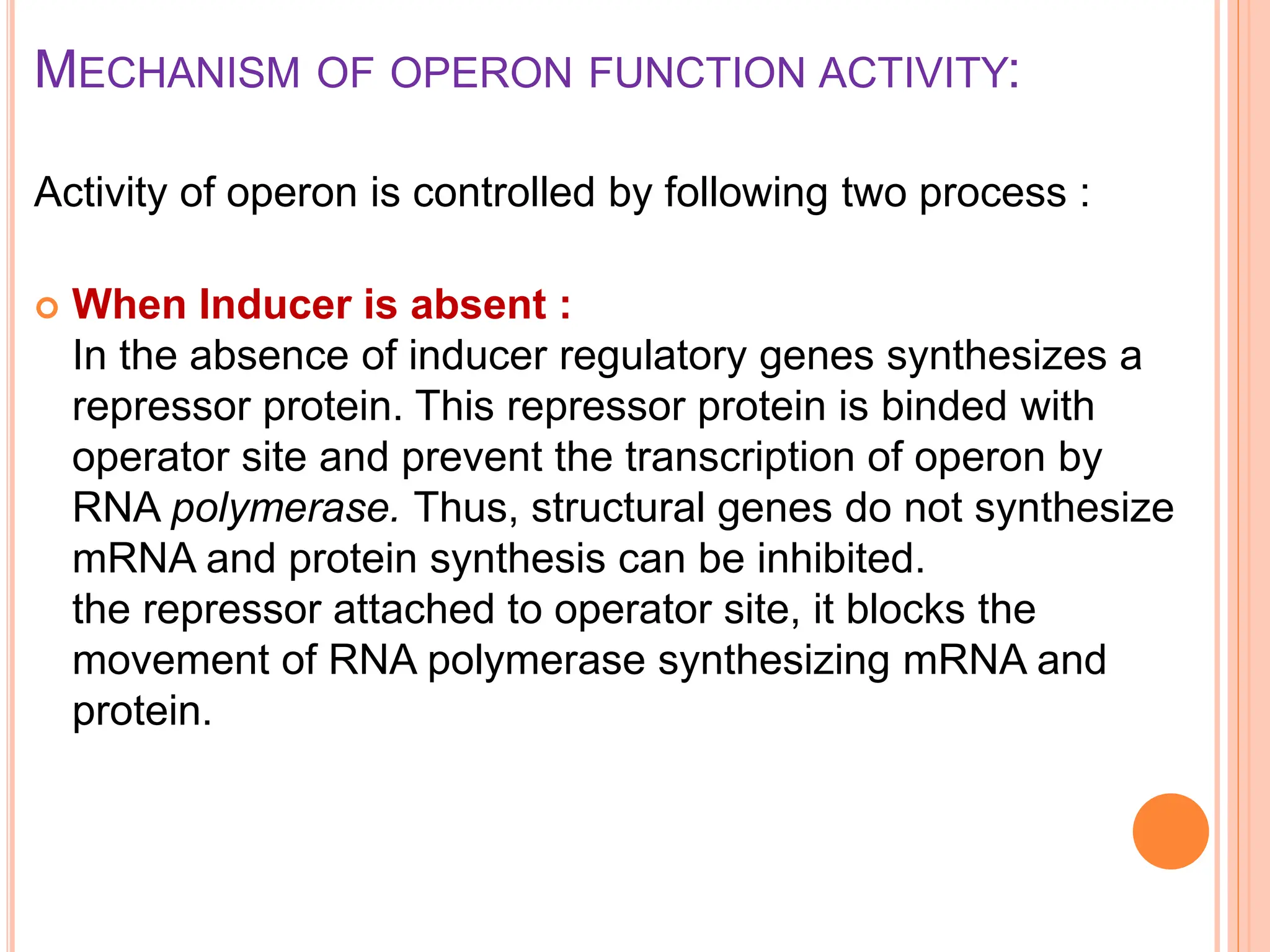 Gene Regulation.pptx