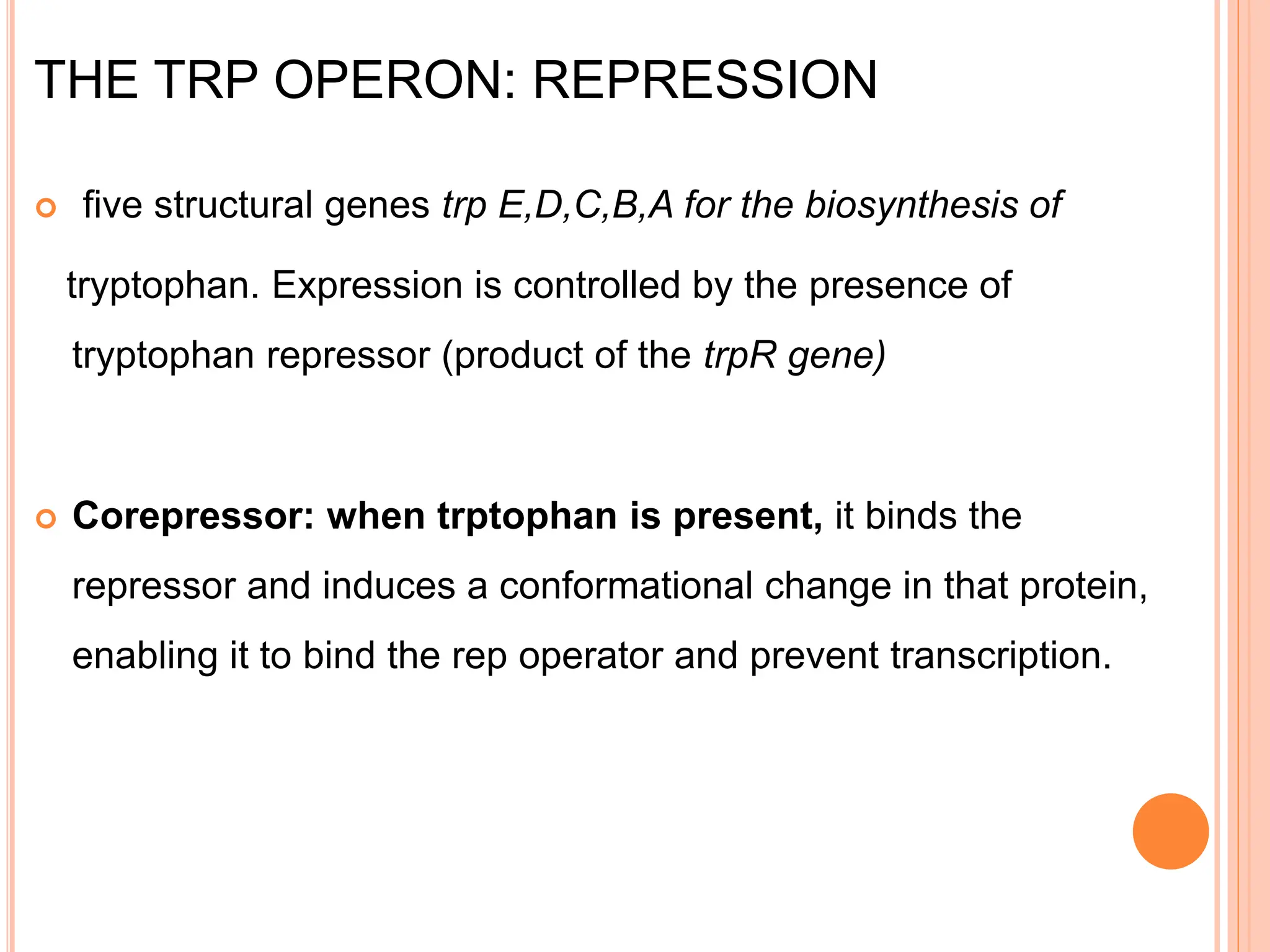 Gene Regulation.pptx