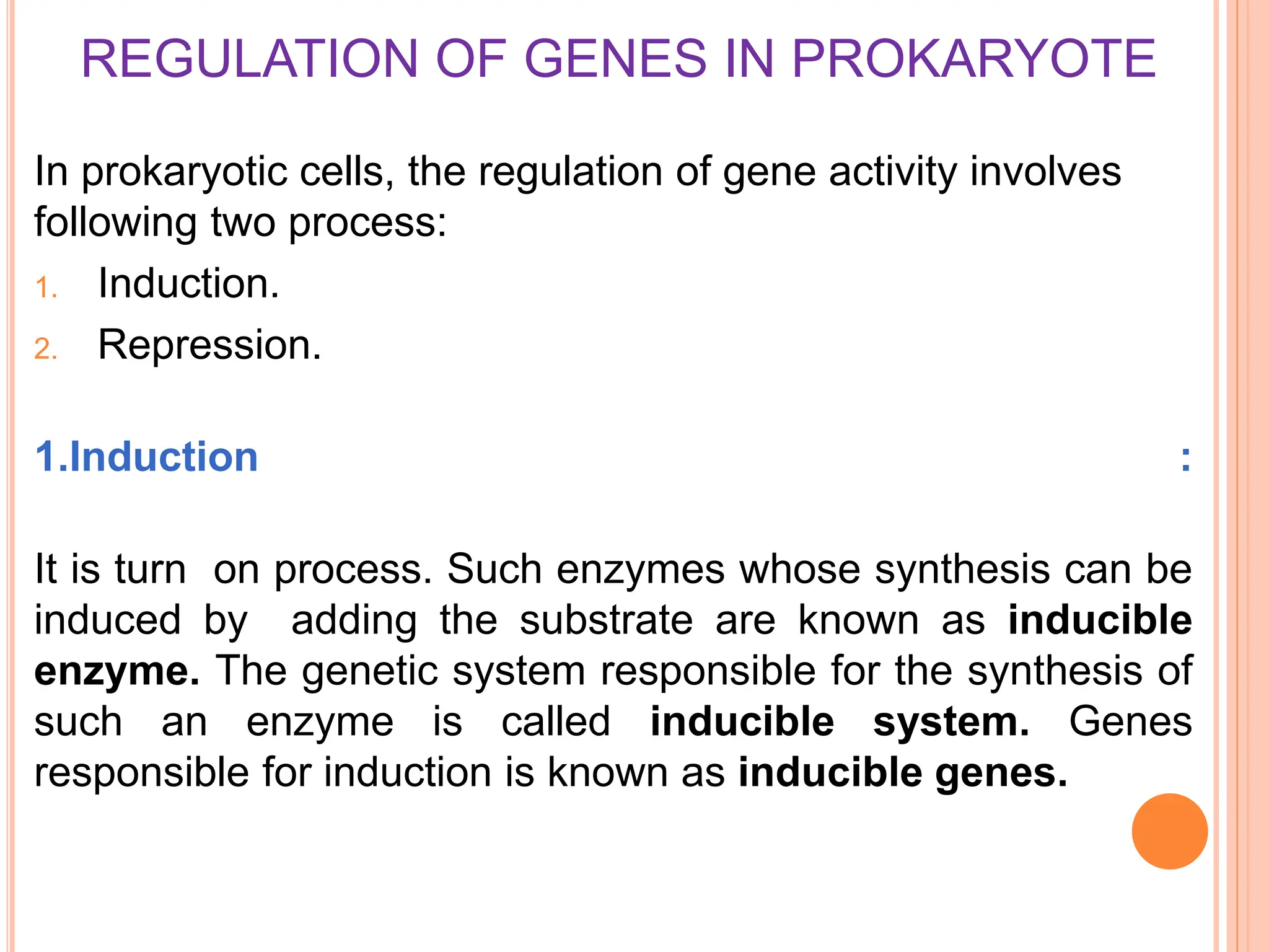 Gene Regulation.pptx