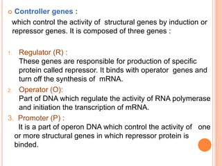 Gene Regulation.pptx