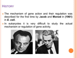 Gene Regulation.pptx