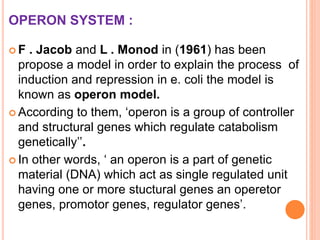 Gene Regulation.pptx