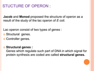 Gene Regulation.pptx | Biological Sciences | Science