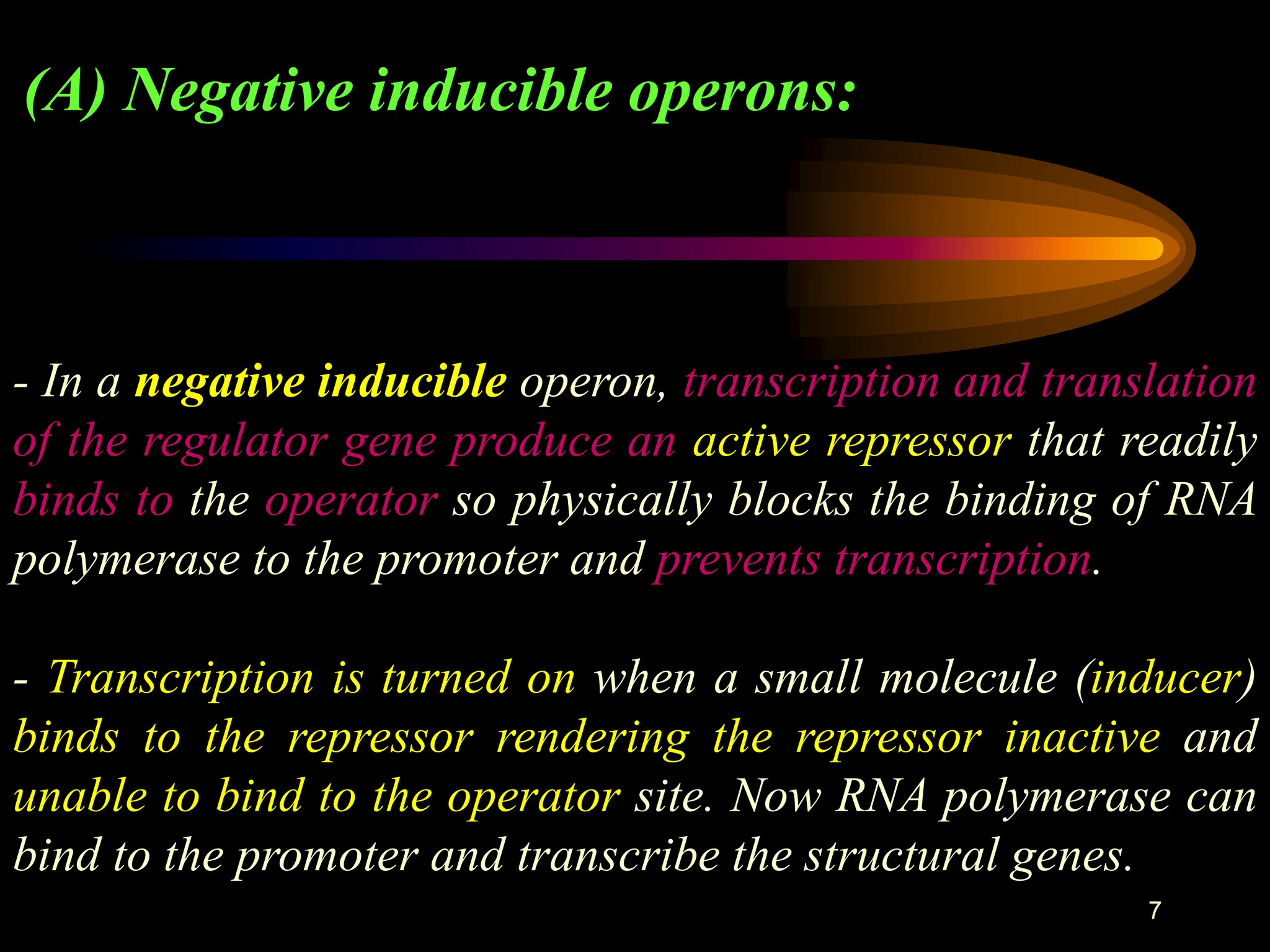 gene regulation.ppt
