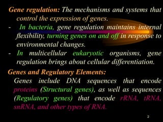 gene regulation .ppt