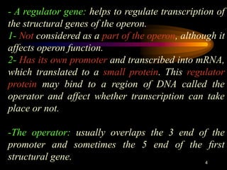 gene regulation .ppt