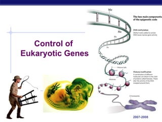 Comprehensive Overview of Gene Regulation in Prokaryotes and Eukaryotes ...