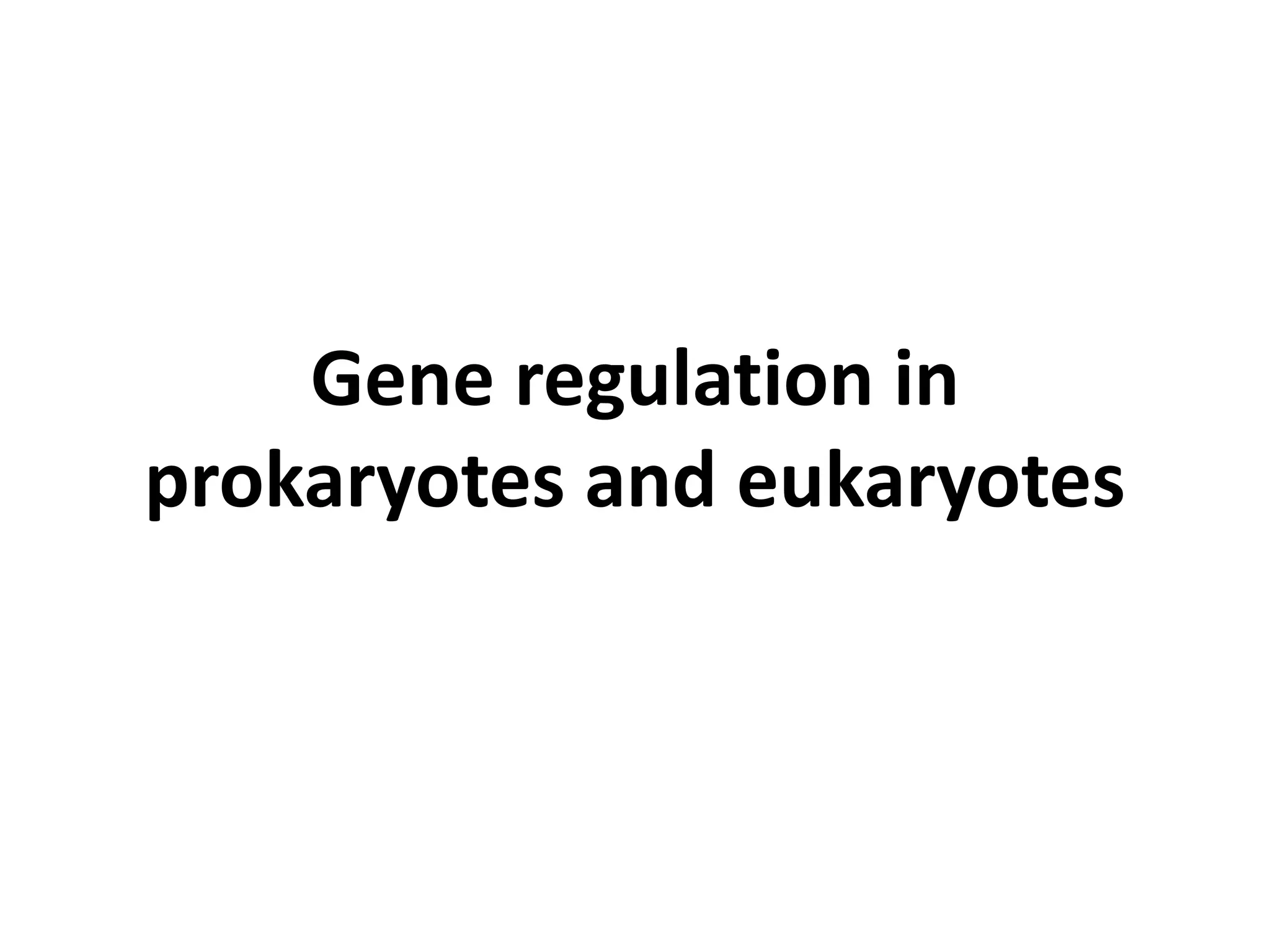 gene regulation-30-4-19.ppt