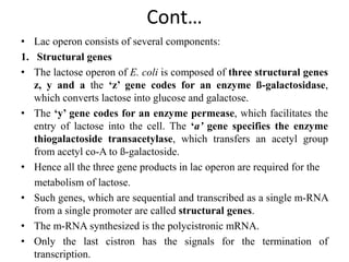 gene regulation-30-4-19.ppt