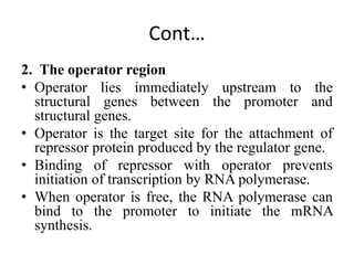 gene regulation-30-4-19.ppt