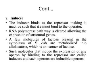 gene regulation-30-4-19.ppt