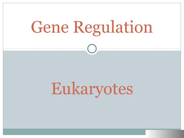 Gene Regulation Eukaryotes Ppt