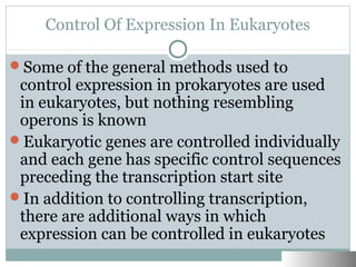 Gene regulation eukaryotes | PPT