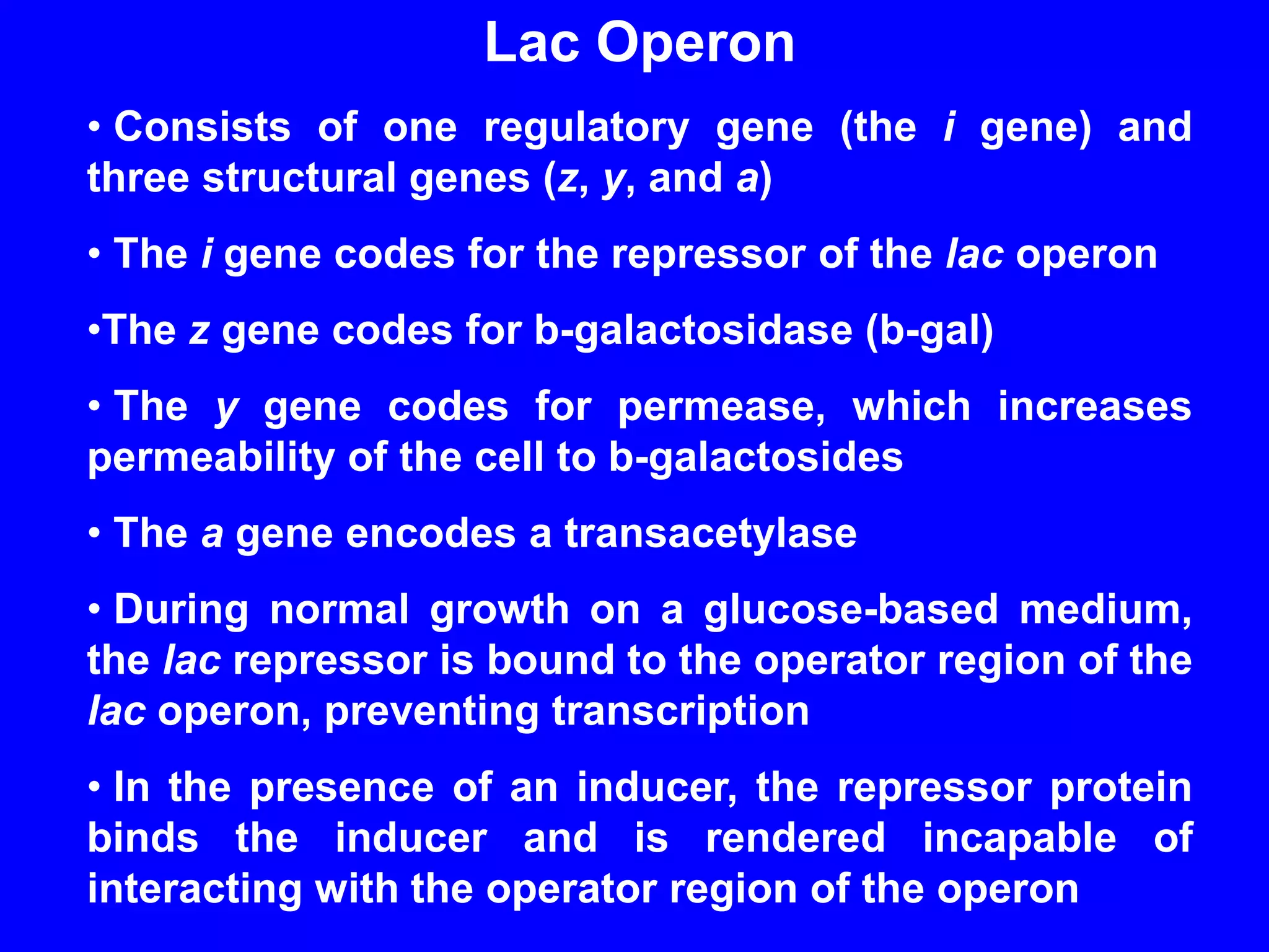 Gene regulation operon | PPT