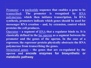 Gene regulation operon | PPT