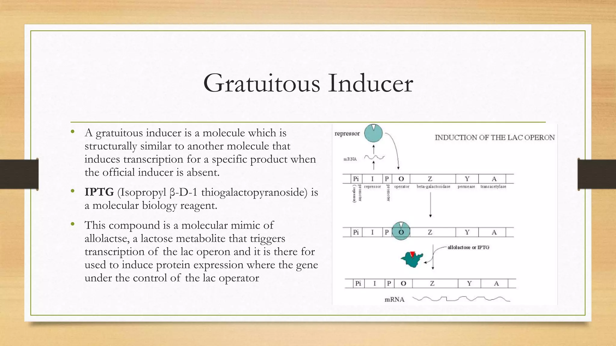 lac mutation (gene regulation) | PPTX