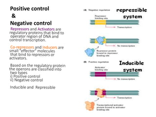 Gene regulation and operon concept2.pptx