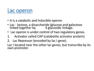Gene regulation and operon concept2.pptx