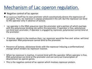 Gene regulation and operon concept2.pptx