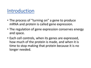 Gene regulation and operon concept2.pptx