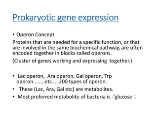 Gene regulation and operon concept2.pptx