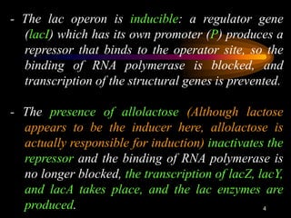 gene regulation and recombinant DNA.ppt